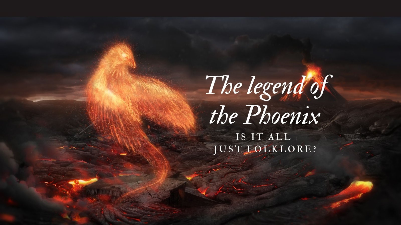 The legend of the Phoenix - is it all just folklore? - Proto Animal