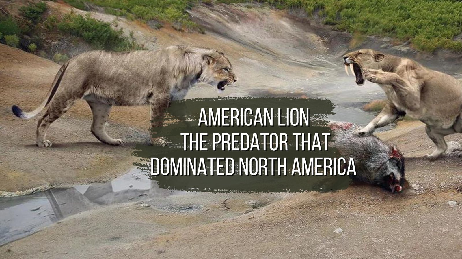 Meet the American lion: the prehistoric predator that dominated North ...