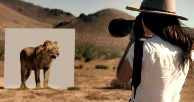 Meet the American lion: the prehistoric predator that dominated North ...