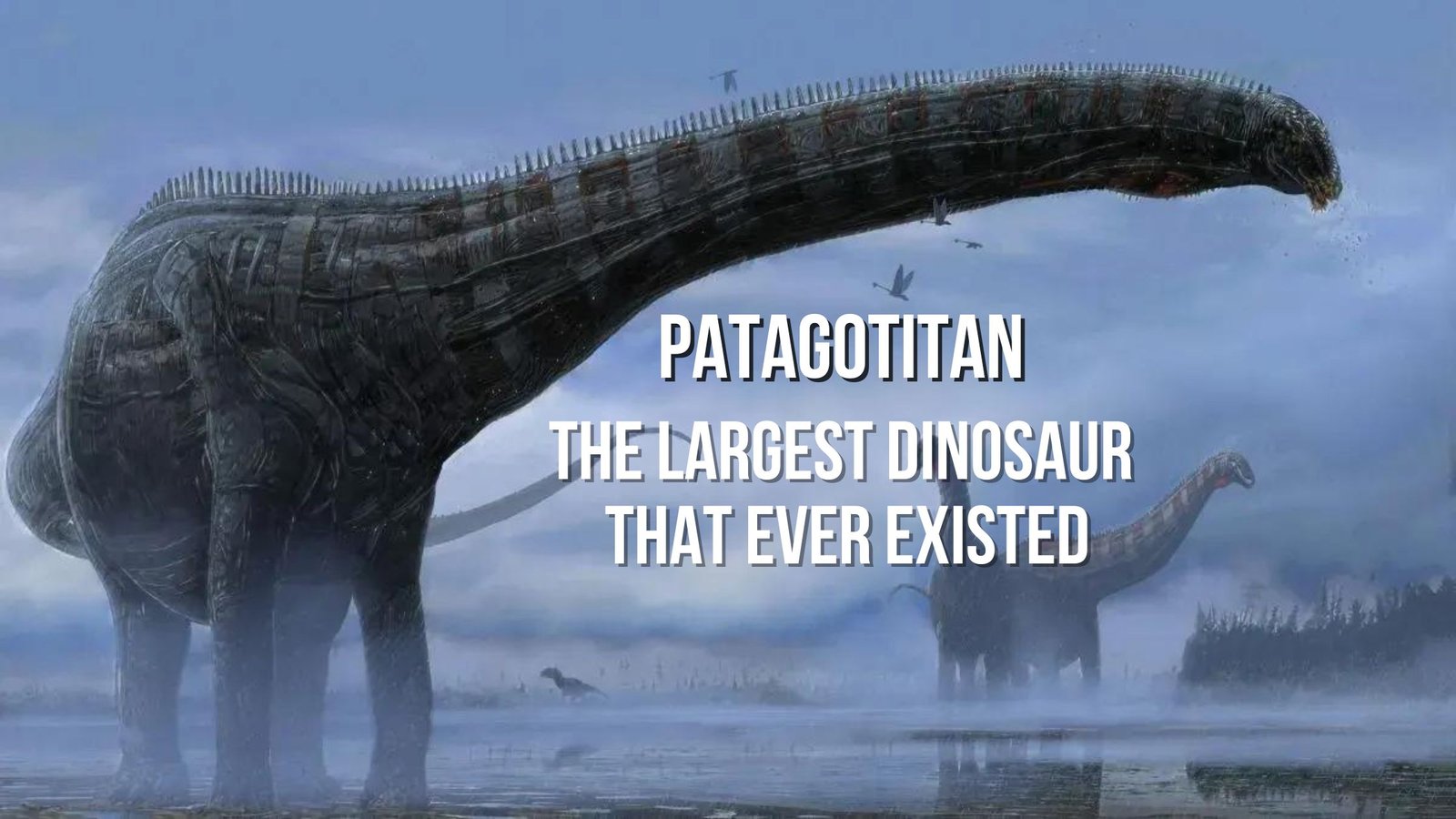 What is the largest dinosaur that ever existed? - Proto Animal